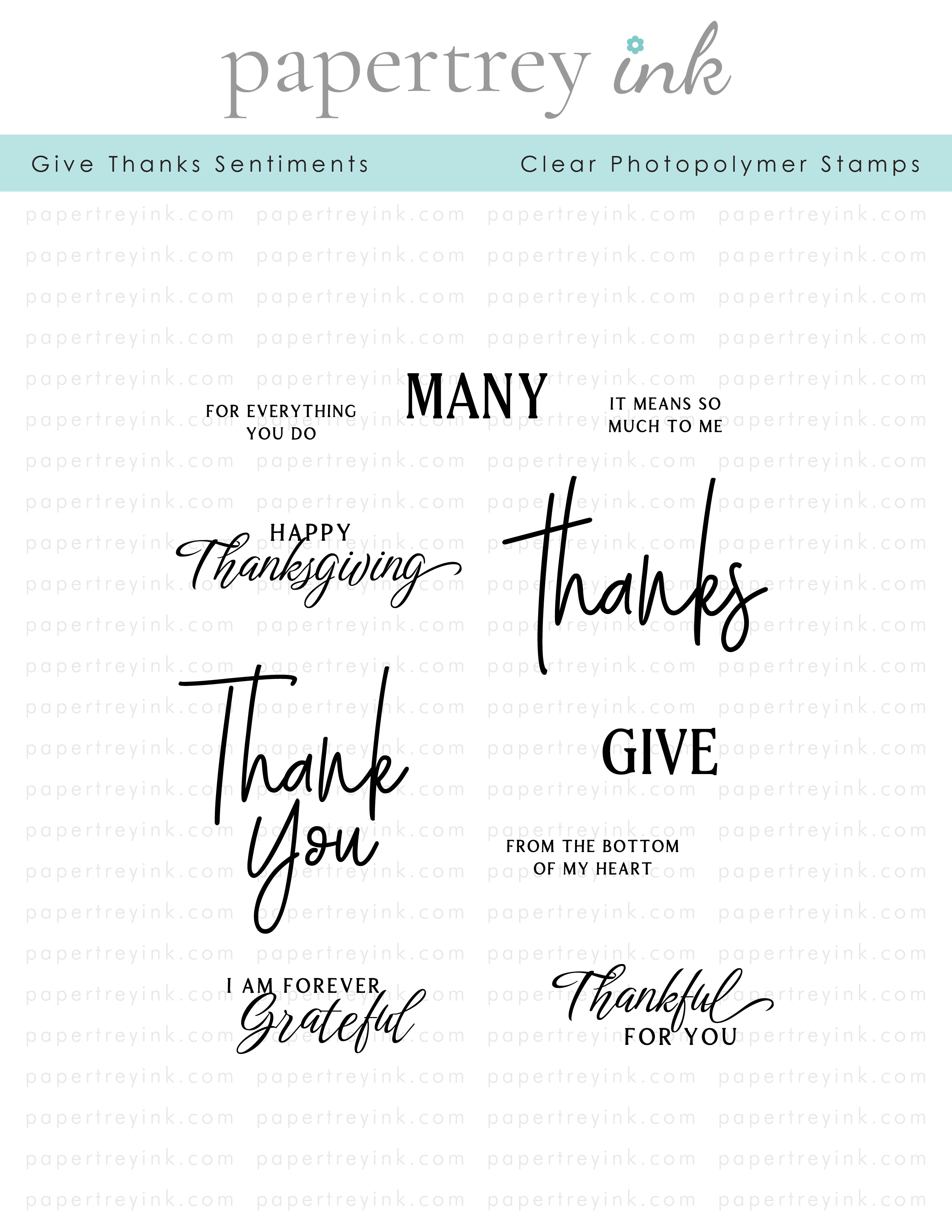 Papertrey Ink - Give Thanks Sentiments Stamp Set