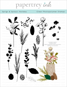 Sprigs & Sprays Stamp Set: Papertrey Ink
