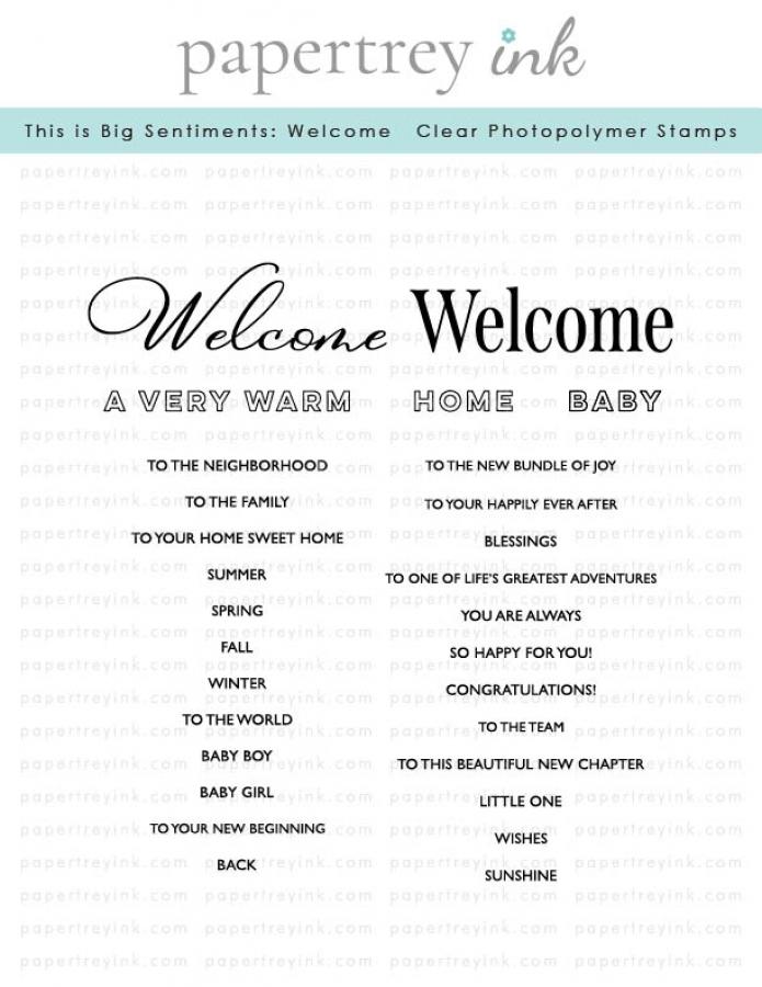 Papertrey Ink - This is Big Sentiments: Welcome Stamp Set