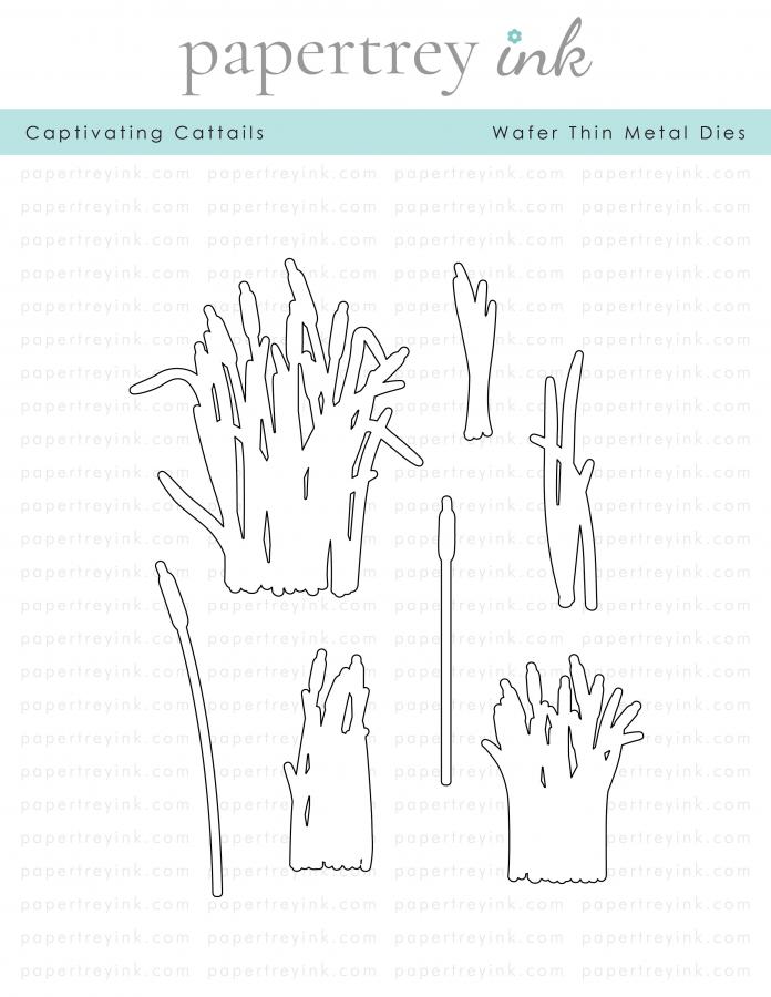 Captivating Cattails Stamp Set: Papertrey Ink
