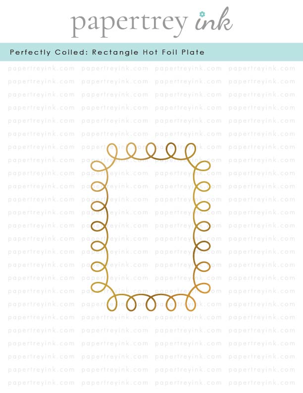 Papertrey Ink - Perfectly Coiled: Rectangle Hot Foil Plate