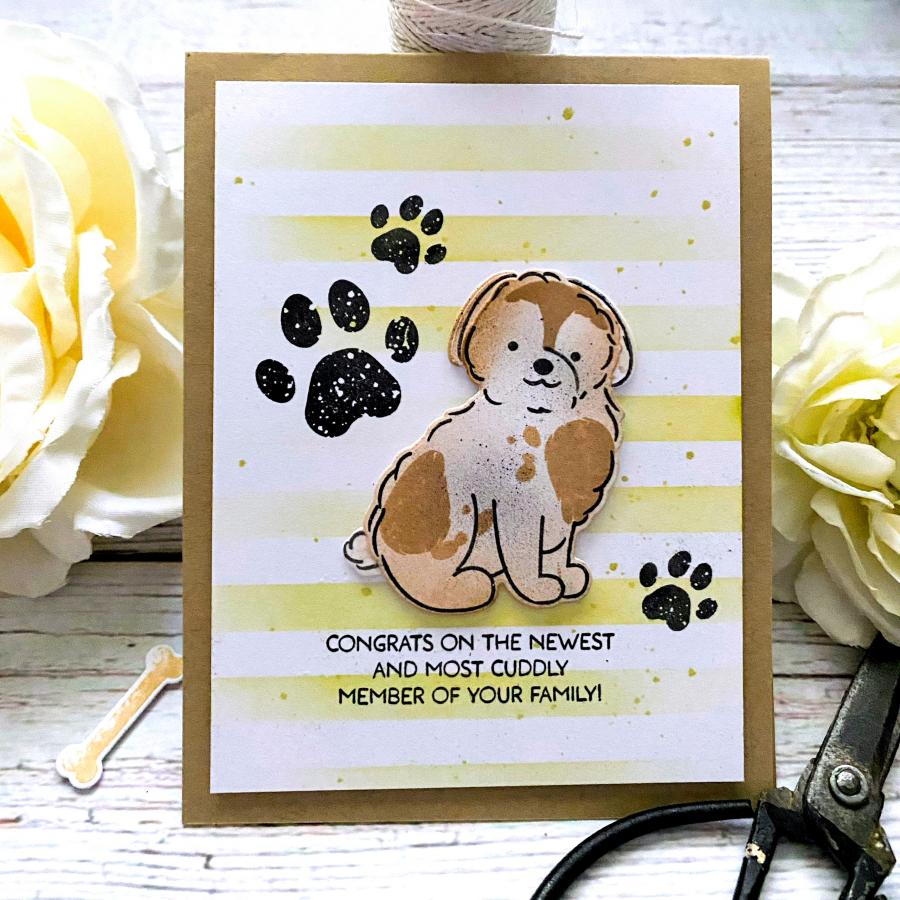 Papertrey Ink - Paw Prints Stamp Set