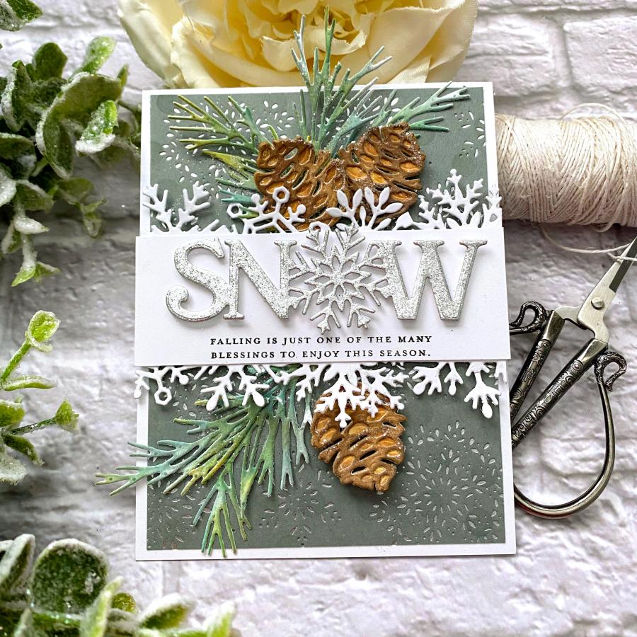 Papertrey Ink - Snowflake Banners Die