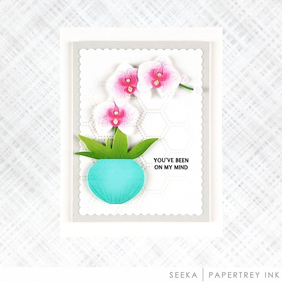 Dotted Hexagon Stencil Collection (set of 2): Papertrey Ink